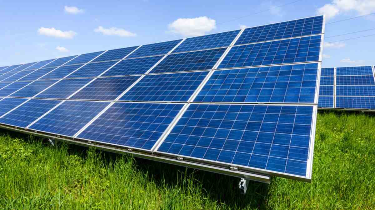 Agrovoltaico: cos'è e come funziona?
